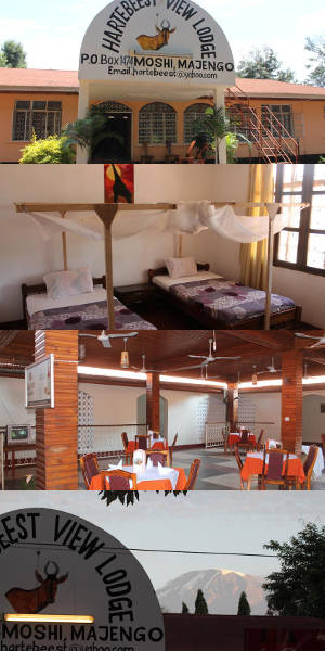 Best Hotels in Moshi - Kilimanjaro Accommodation Options