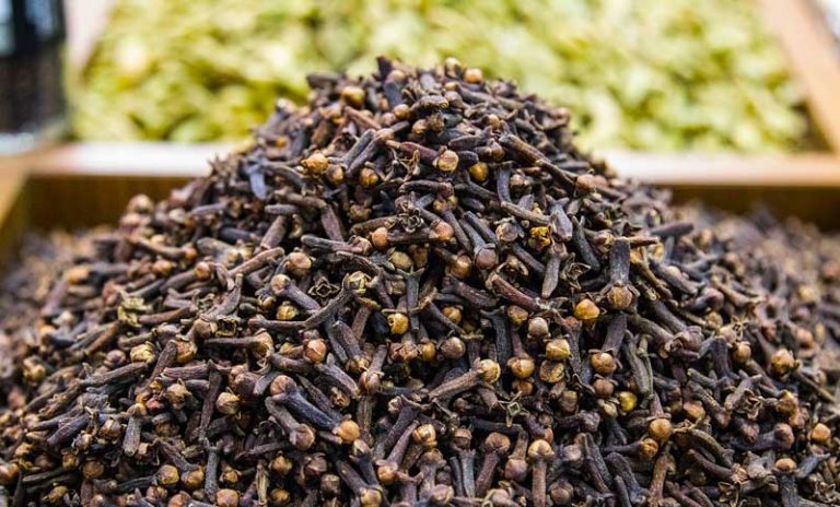 Zanzibar - Complete Guide To East Africa's Tropical Paradise