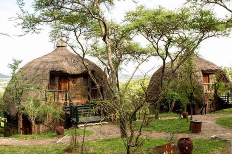 Serengeti Serena Safari Lodge Review - My Experience