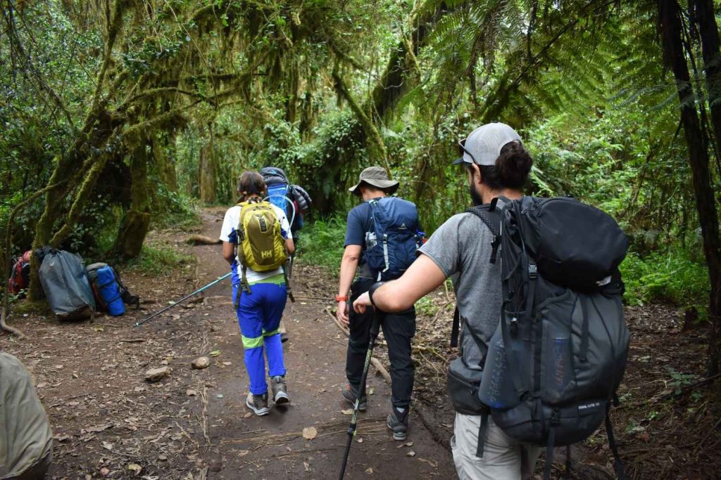 Machame Route Kilimanjaro - Pros, Cons and Interesting Facts