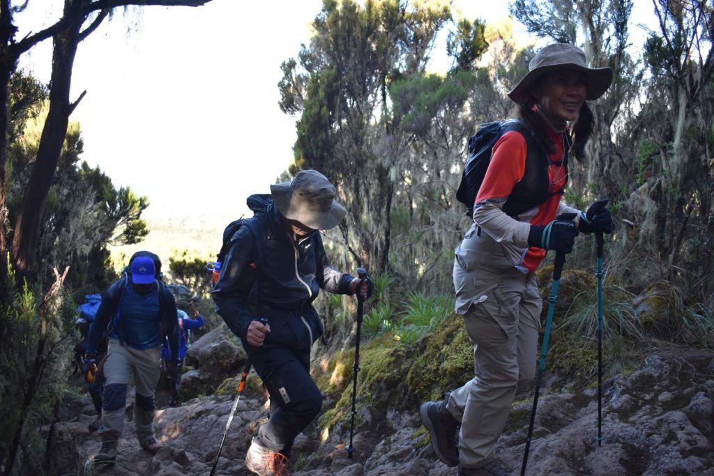 Machame Route Kilimanjaro - Pros, Cons and Interesting Facts