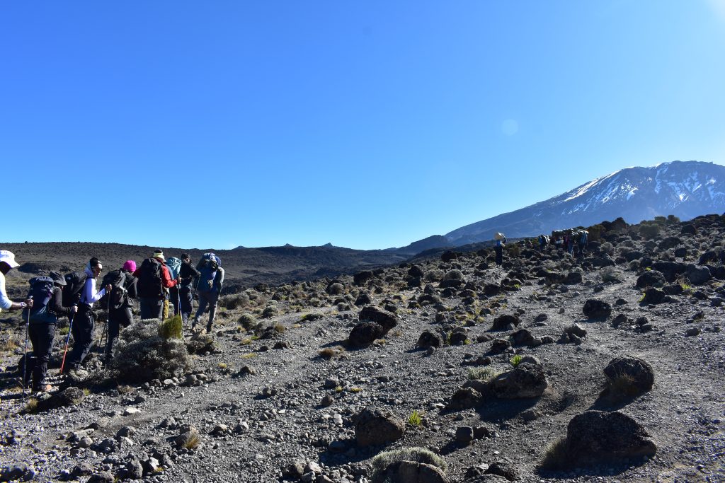 Shira Route Kilimanjaro - Pros, Cons and Route Facts